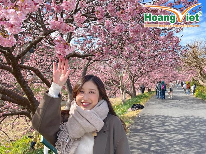RỰC RỠ SẮC XUÂN VIỆT NAM - SAKURA - NHẬT BẢN - VIỆT NAM | Hoàng Việt Travel